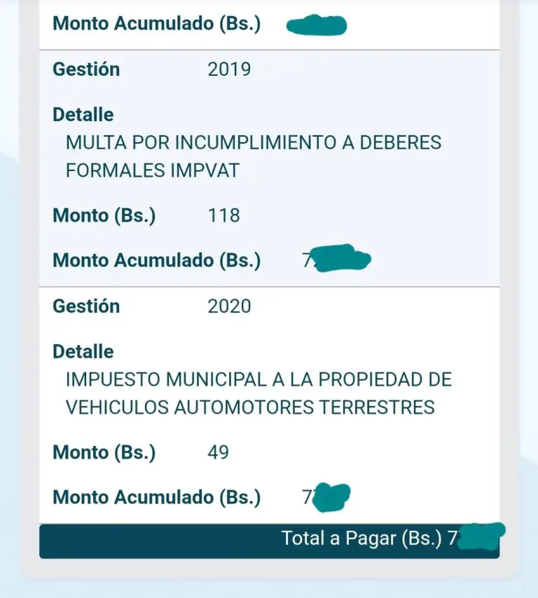 El RUAT para Vehículos en Bolivia ¿Cómo Realizar la Consulta ...